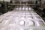 Bristol Myers Squibb Fortune