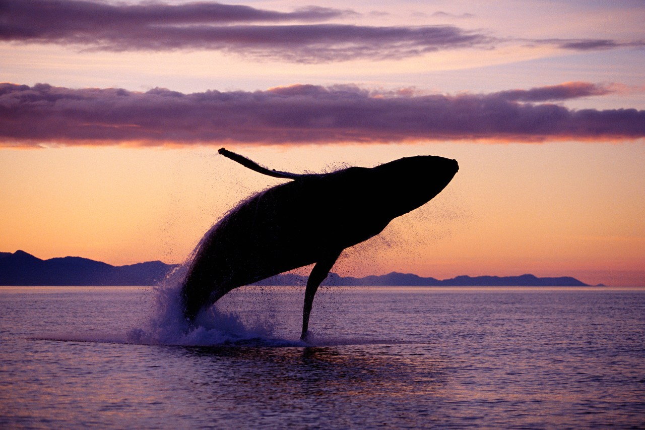 Pacific Life | Fortune