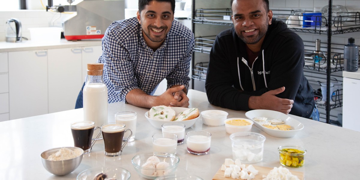 Startup Perfect Day raises $300 million to make animal-free dairy | Fortune