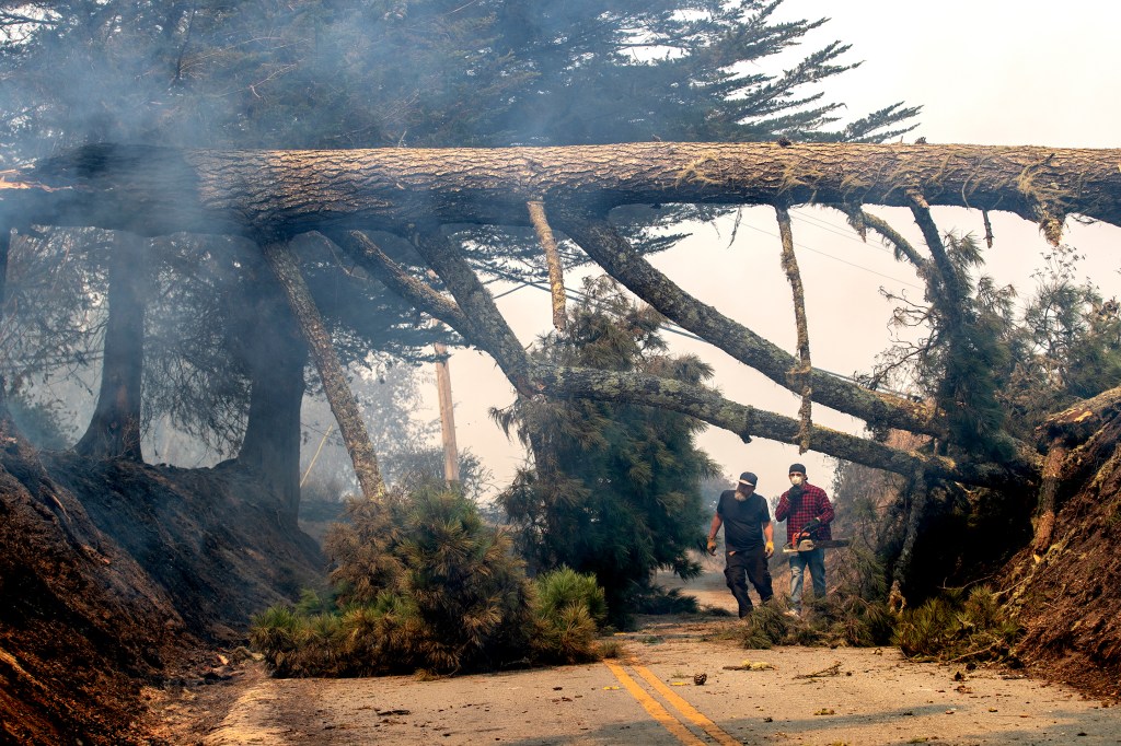 2020 California wildfire photos: Hills, homes, redwoods ablaze | Fortune