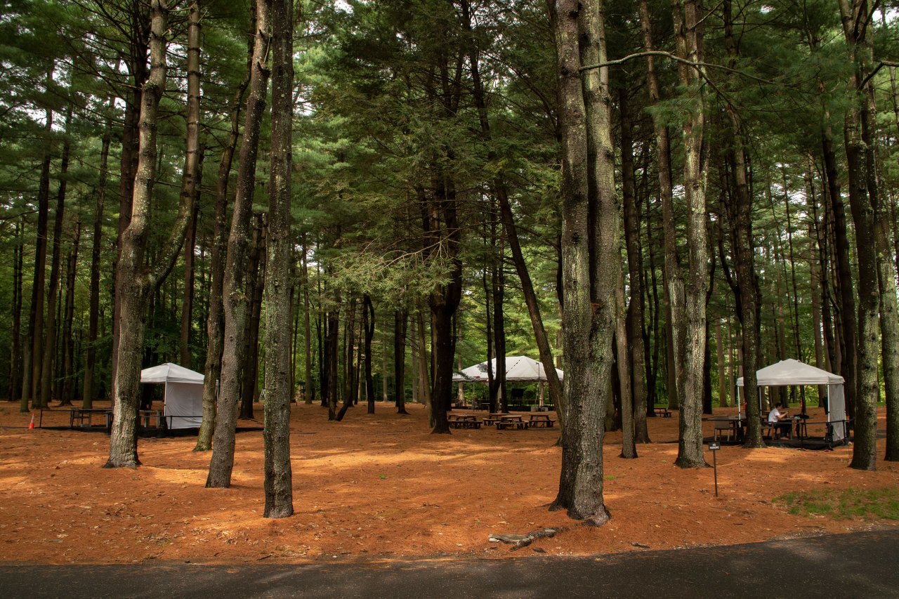 Hedge fund Bridgewater Associates is working from the forest during the ...