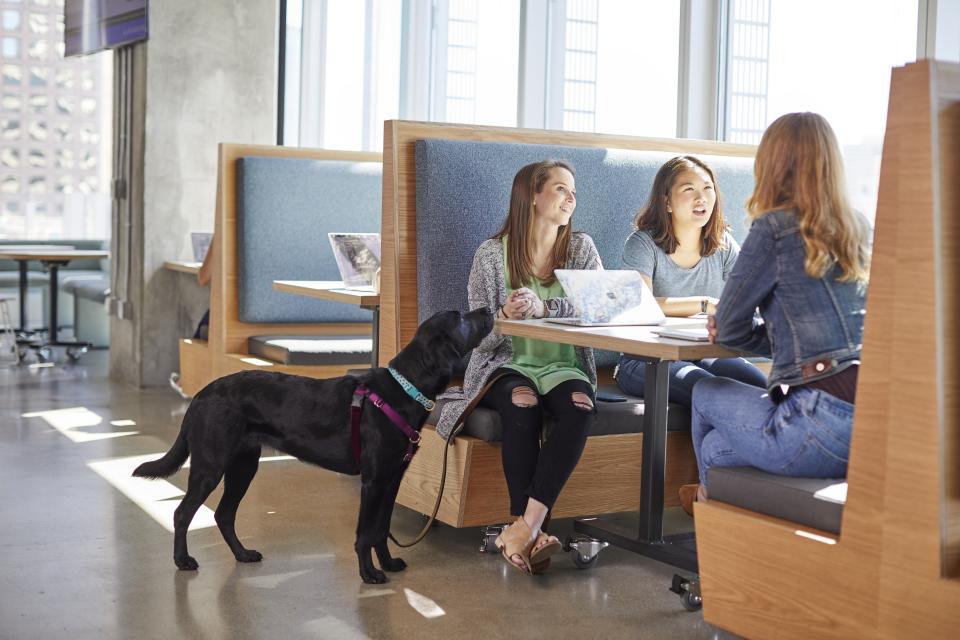 Atlassian (TEAM): Company Profile, Stock Price, News, Rankings | Fortune