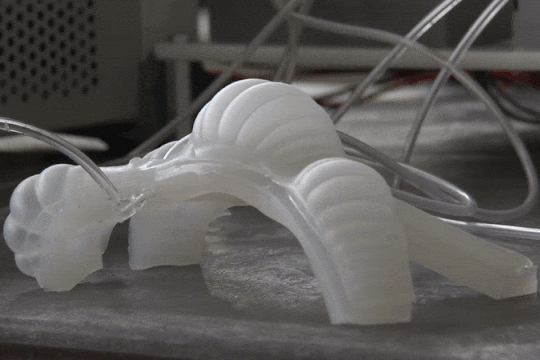 Soft robots: Why they have NASA, doctors, and techies excited | Fortune