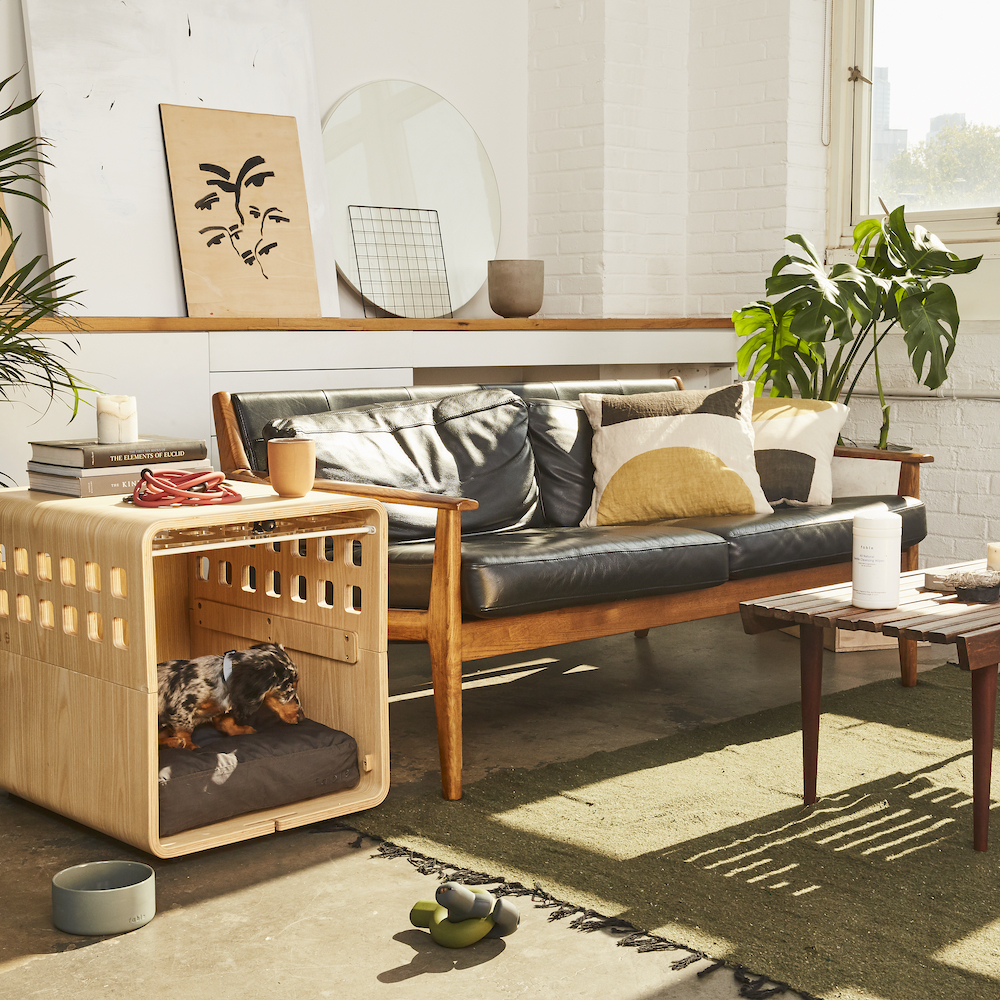 Fable: The pet care brand with a 5,000-person waitlist | Fortune