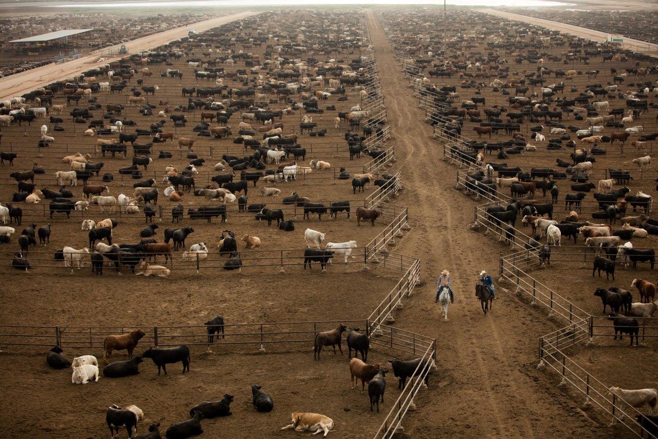 Photos of Earth: 8 pictures of the human imprint on land as climate ...