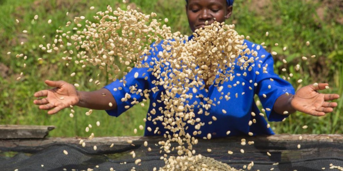 How the pandemic and social unrest motivated a new coalition to build ...