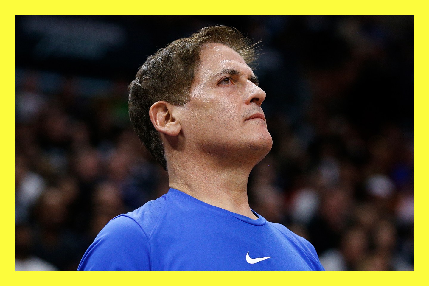 Mark Cuban NFTy 50 | Fortune