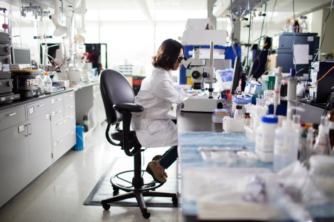 Altria Group (MO): Company Profile, Stock Price, News, Rankings | Fortune