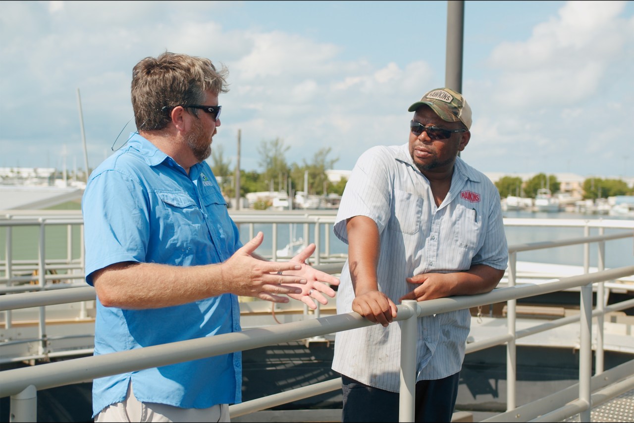 Hawkins, Inc. Company Profile, Stock Price, News, Rankings | Fortune