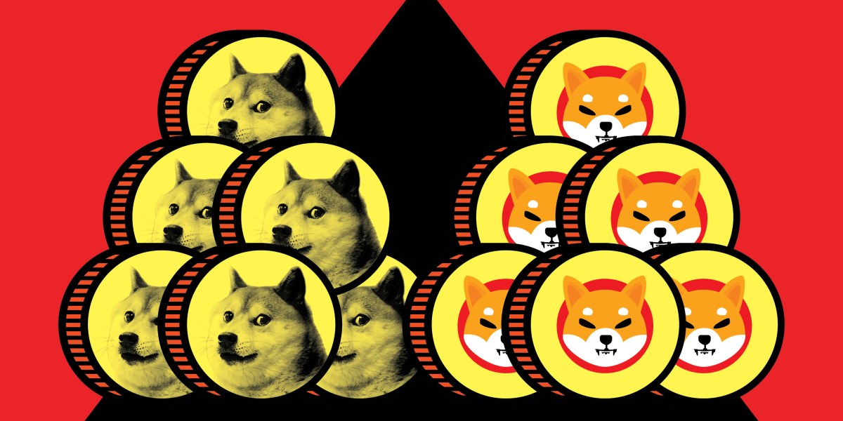 Shiba Inu and Dogecoin: Soaring cryptos are now worth more than 388 of ...
