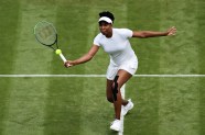 Venus Williams Body 2022 Venus Williams Body 2022