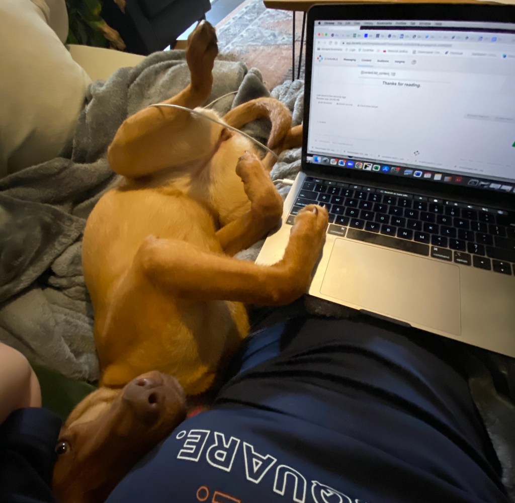 Sequoia Capital published 3 new survival guides for startups | Fortune