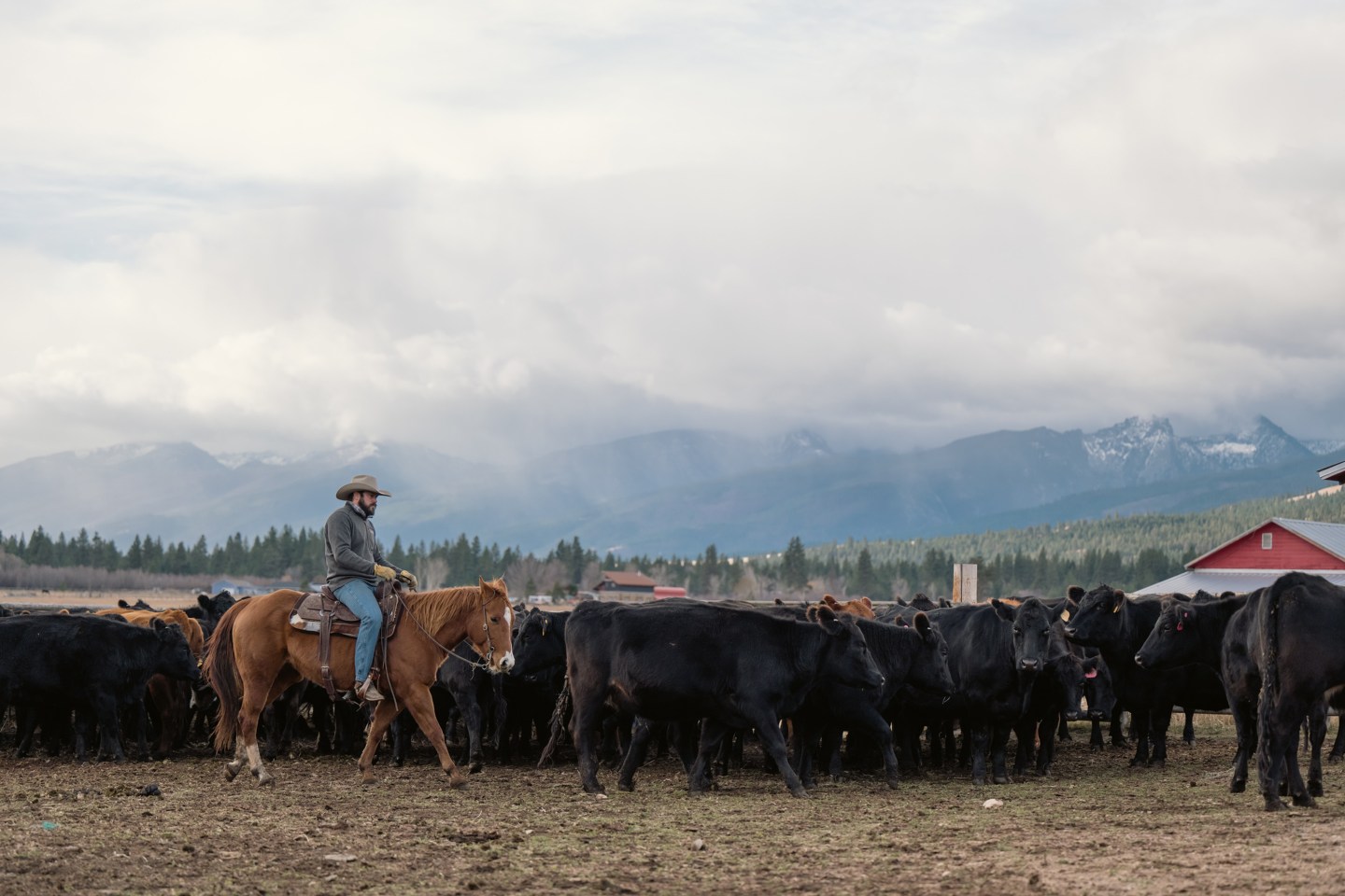 AgAmerica Lending Company Profile, Stock Price, News, Rankings | Fortune