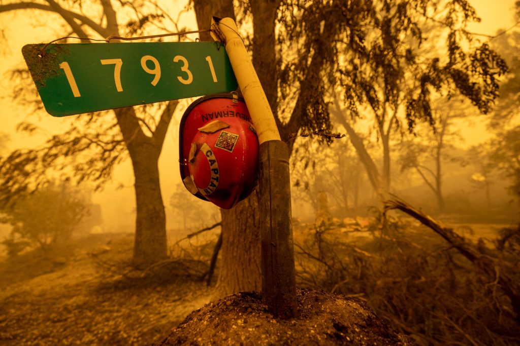 Start considering worst-case ‘mass extinction’ scenarios of climate ...