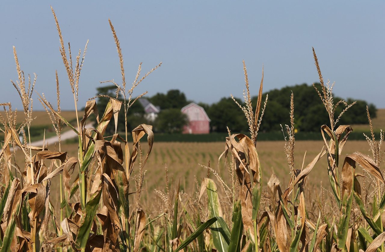 Climate change and drought look set to worsen food inflation, as Iowa ...