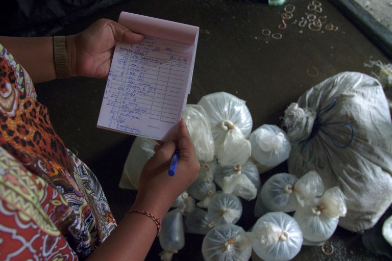 Murky world of aquarium trade includes cyanide fishing, coral reef ...