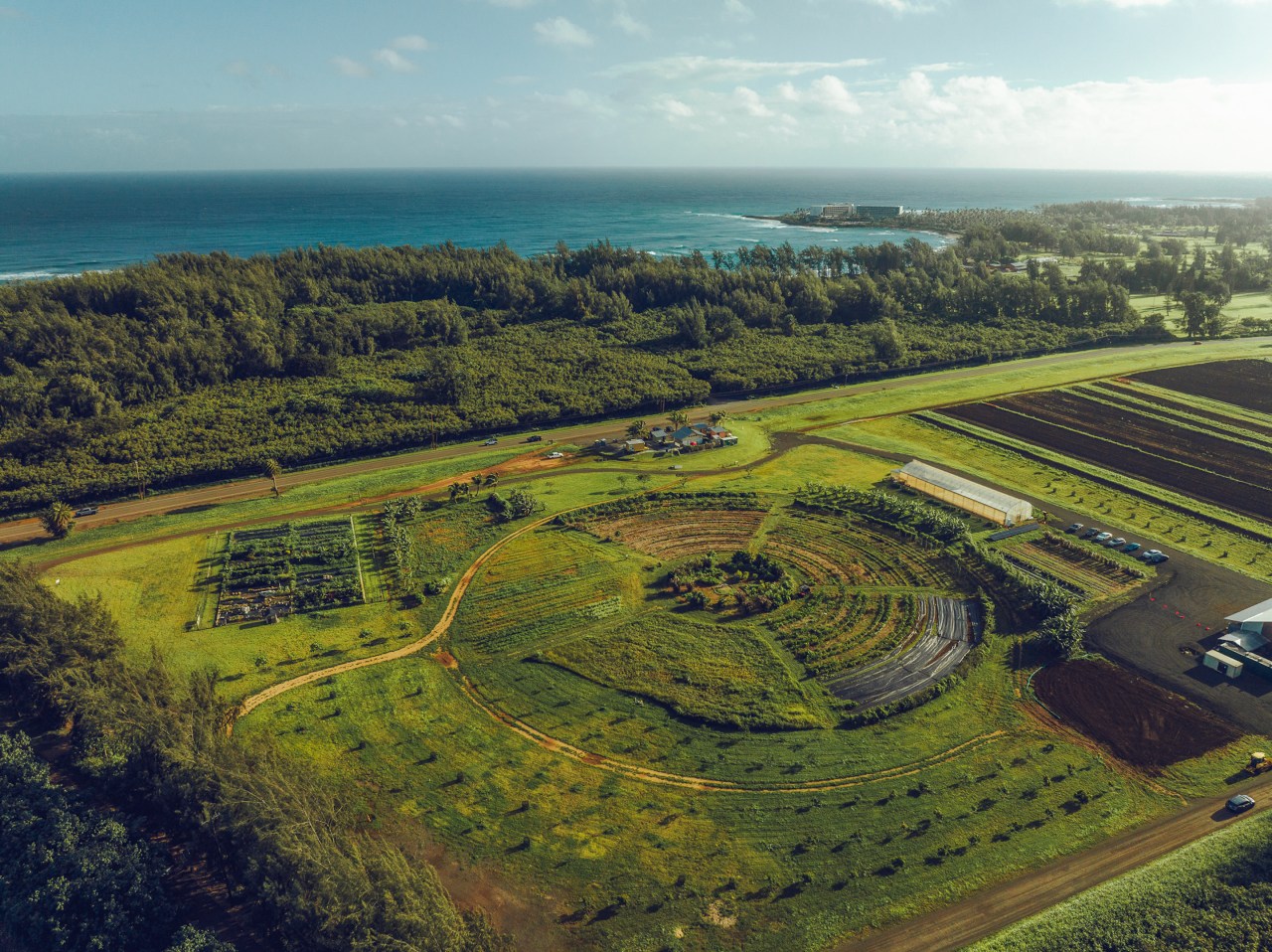 Inside one of the most iconic hotels on O‘ahu’s North Shore | Fortune