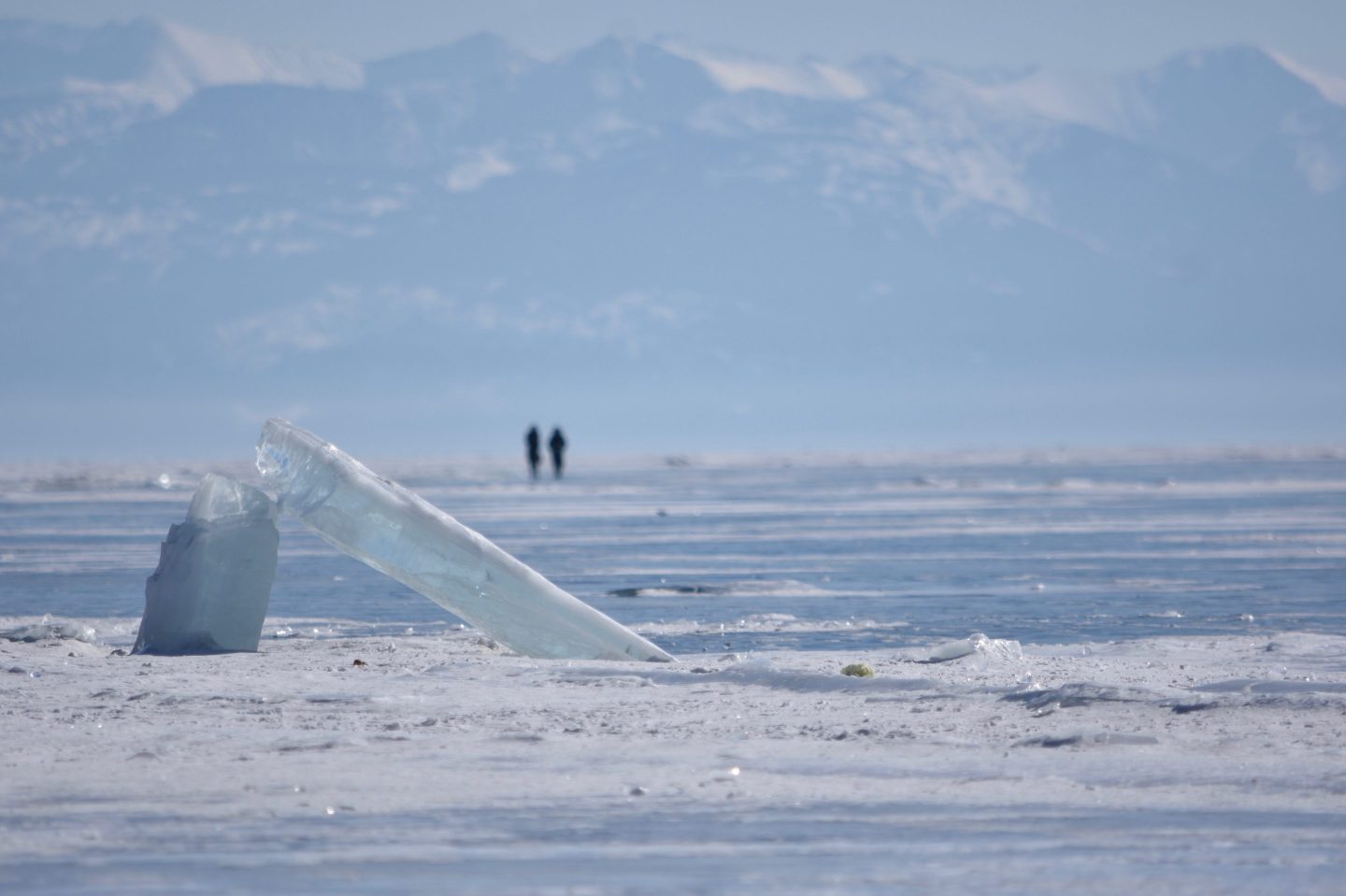 'Zombie virus' frozen under Siberian lake has has been revived by ...