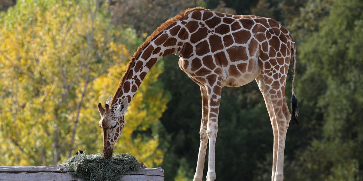 A short seller offers his unfiltered perspective on the end of the SPAC ...