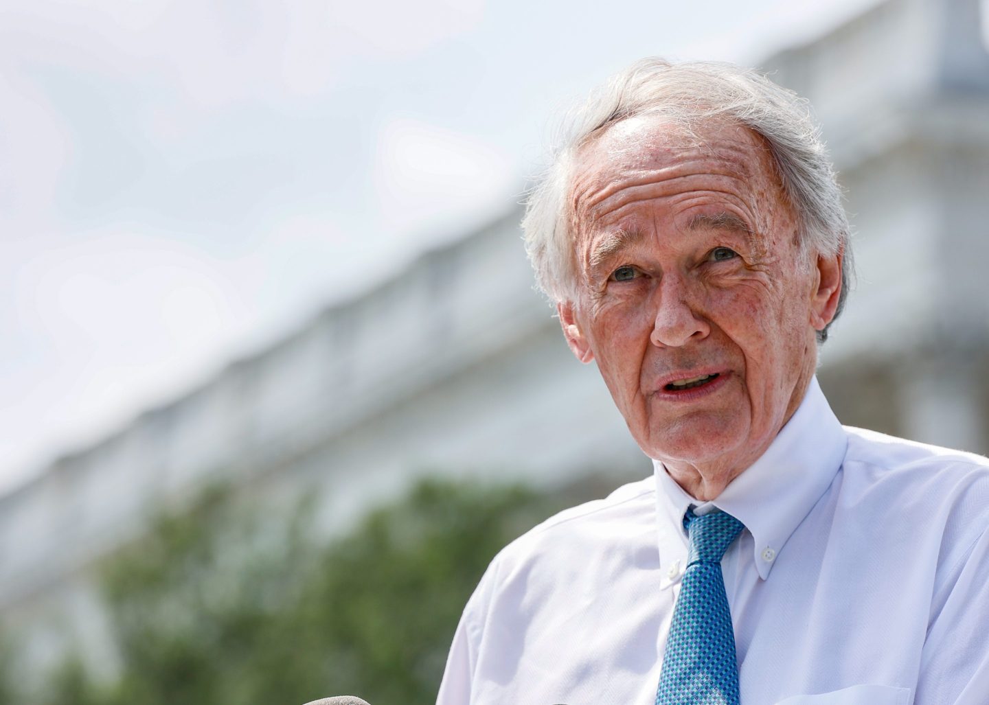 Sen. Markey warns Musk after Twitter Blue chaos: ‘Fix your companies ...