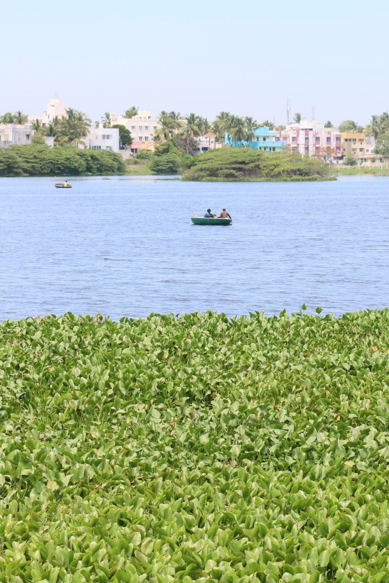 How can cities adapt to climate change? Chennai, India is a new model ...