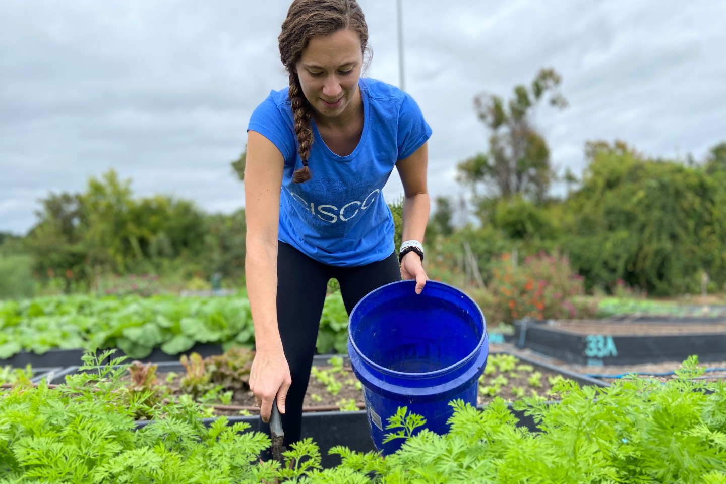 Cisco Systems (CSCO): Company Profile, Stock Price, News, Rankings ...