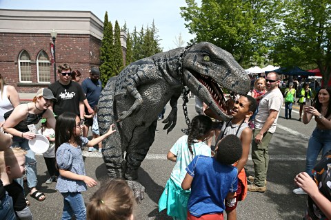 Lacey, Washington | Fortune Well