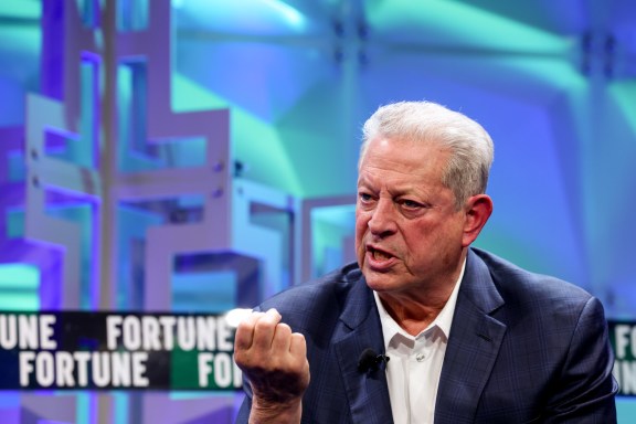 Al Gore says Biden's IRA has some 'warts' | Fortune