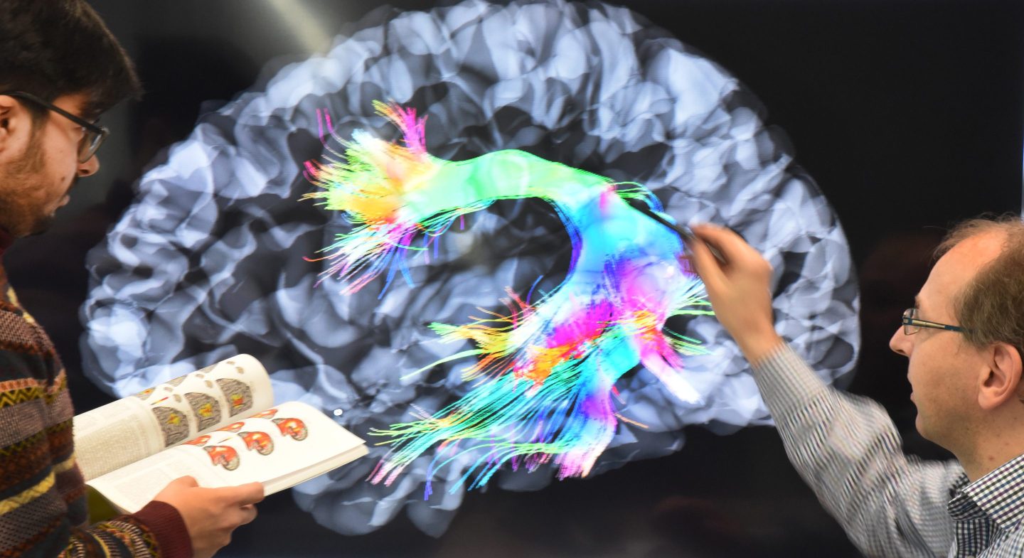 Today’s cutting-edge artificial intelligence is based on neuroscience ...