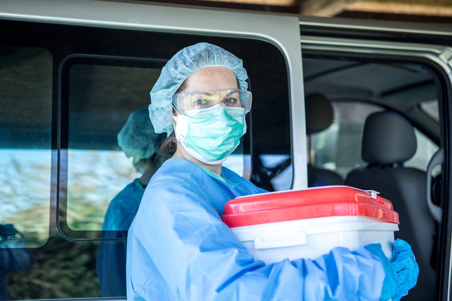 A genetically altered pig kidney transplanted into a human a month ago ...