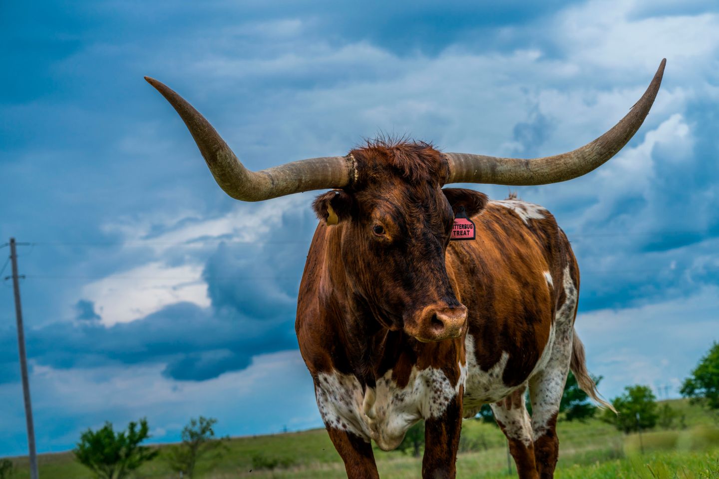 Texas leads all other states in native-born stickiness | Fortune