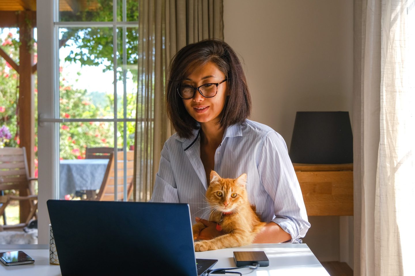 How did cats evolve into pets over thousands of years? | Fortune Well