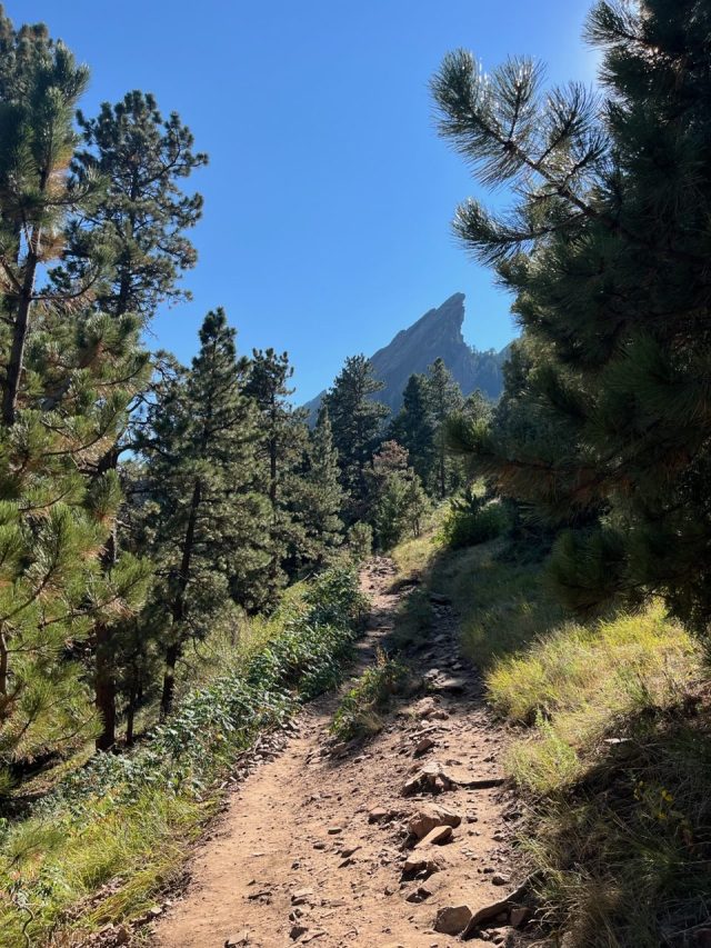 CEO Rebecca Parekh's wellness habits | Fortune Well