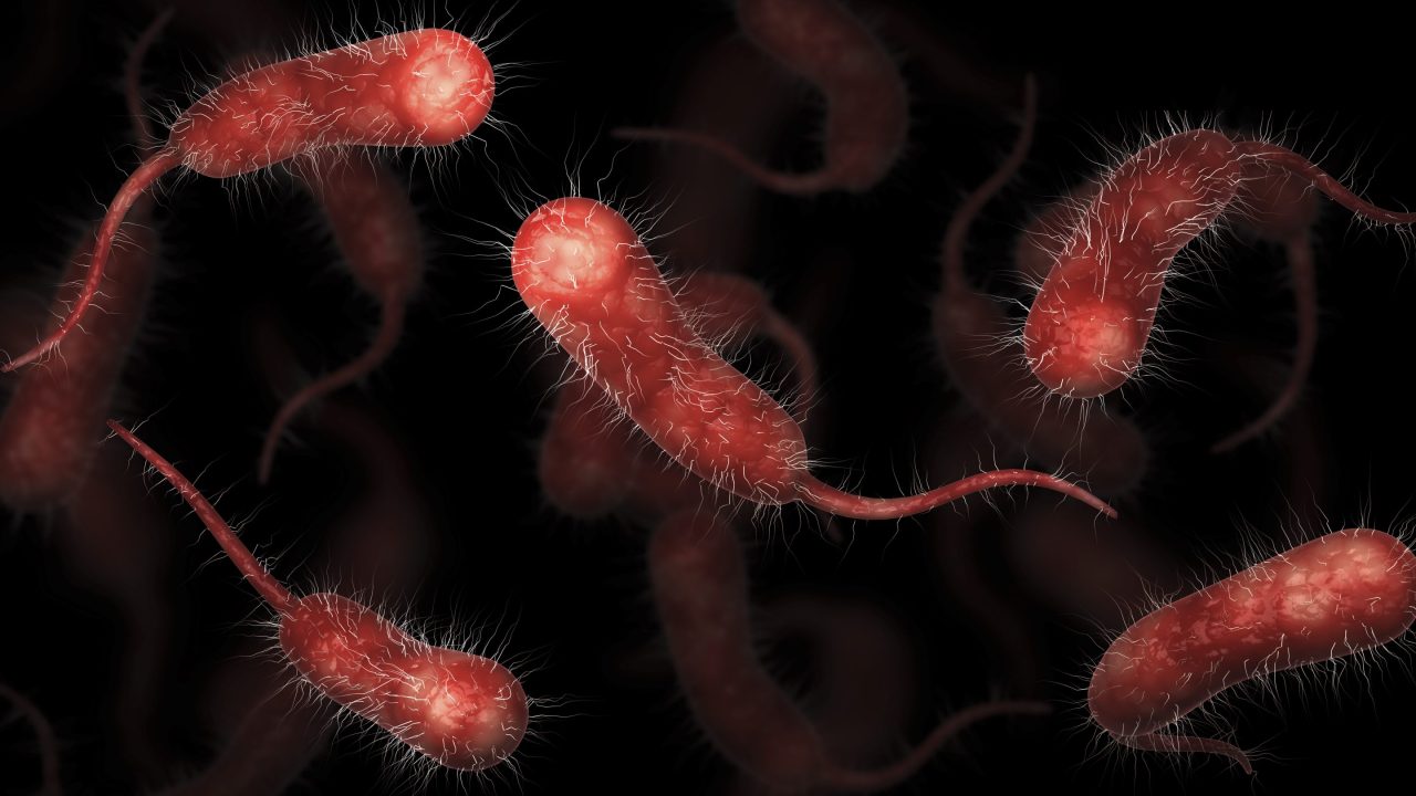 Deadly flesh-eating bacteria infections are on the rise. Here's how to ...