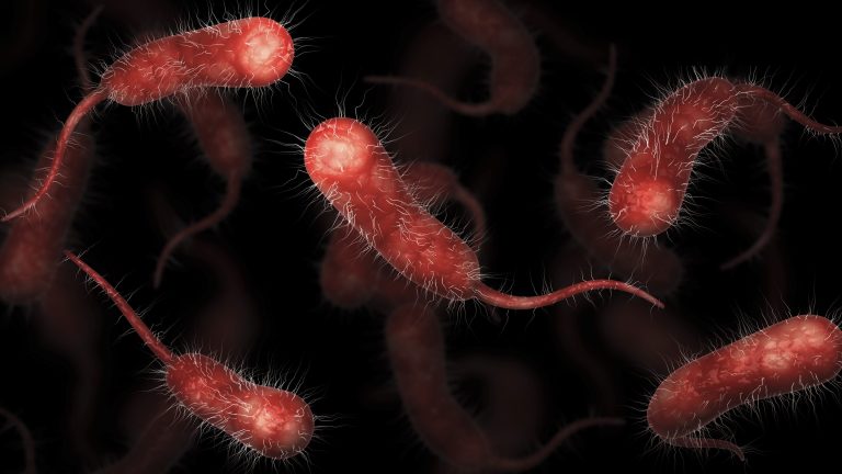 Deadly flesh-eating bacteria infections are on the rise. Here's how to ...