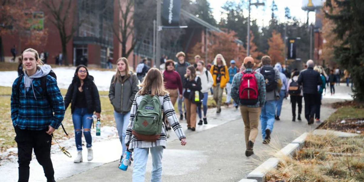 Is a master's degree in social work worth it? | Fortune Education