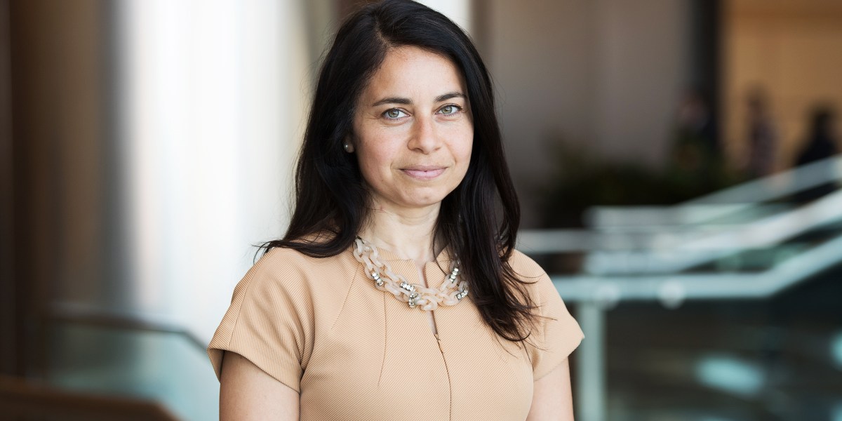 Goldman Sachs, led by Ilana Wolfe, plays matchmaker to help diverse ...