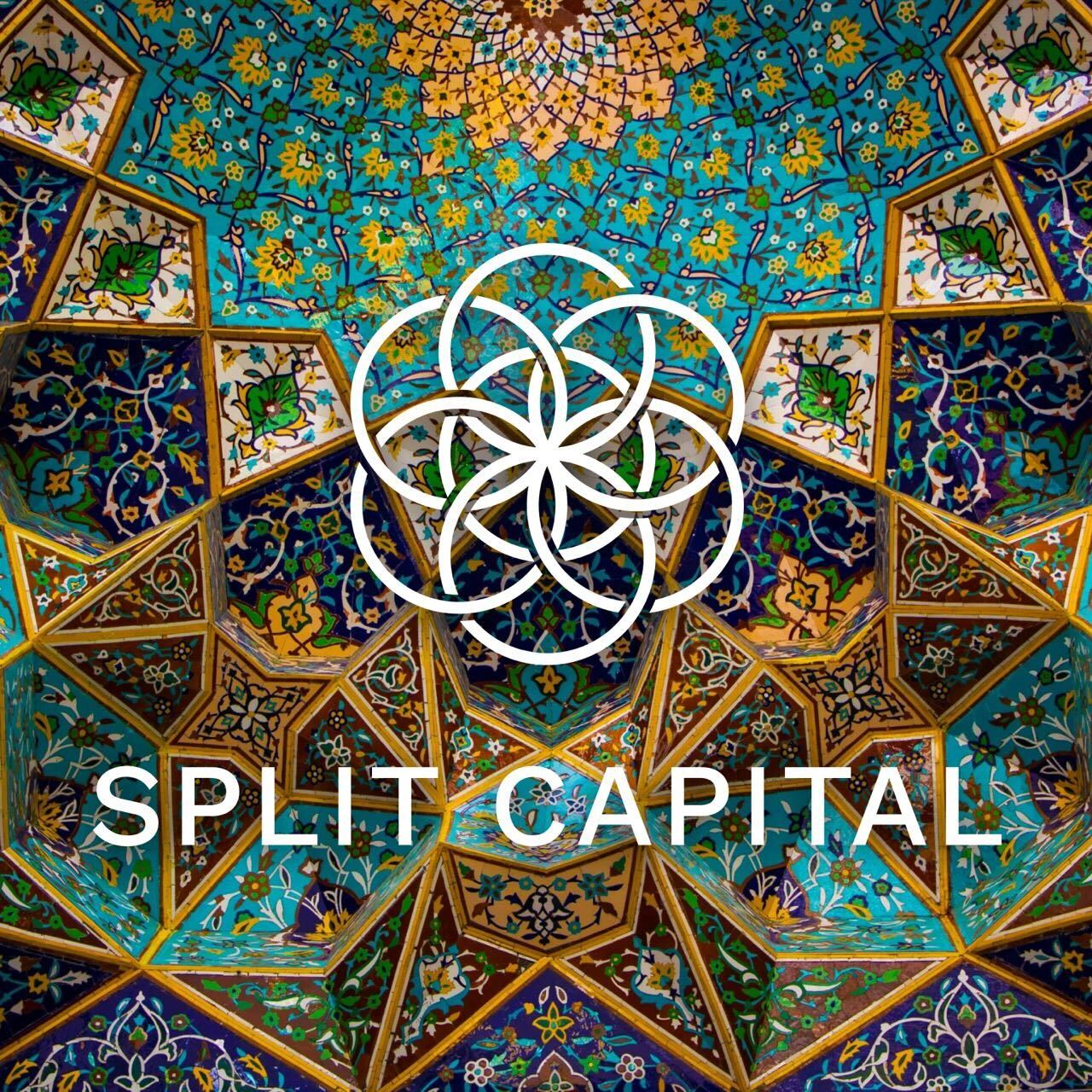 LedgerPrime alumni launch crypto hedge fund Split Capital to focus on ...