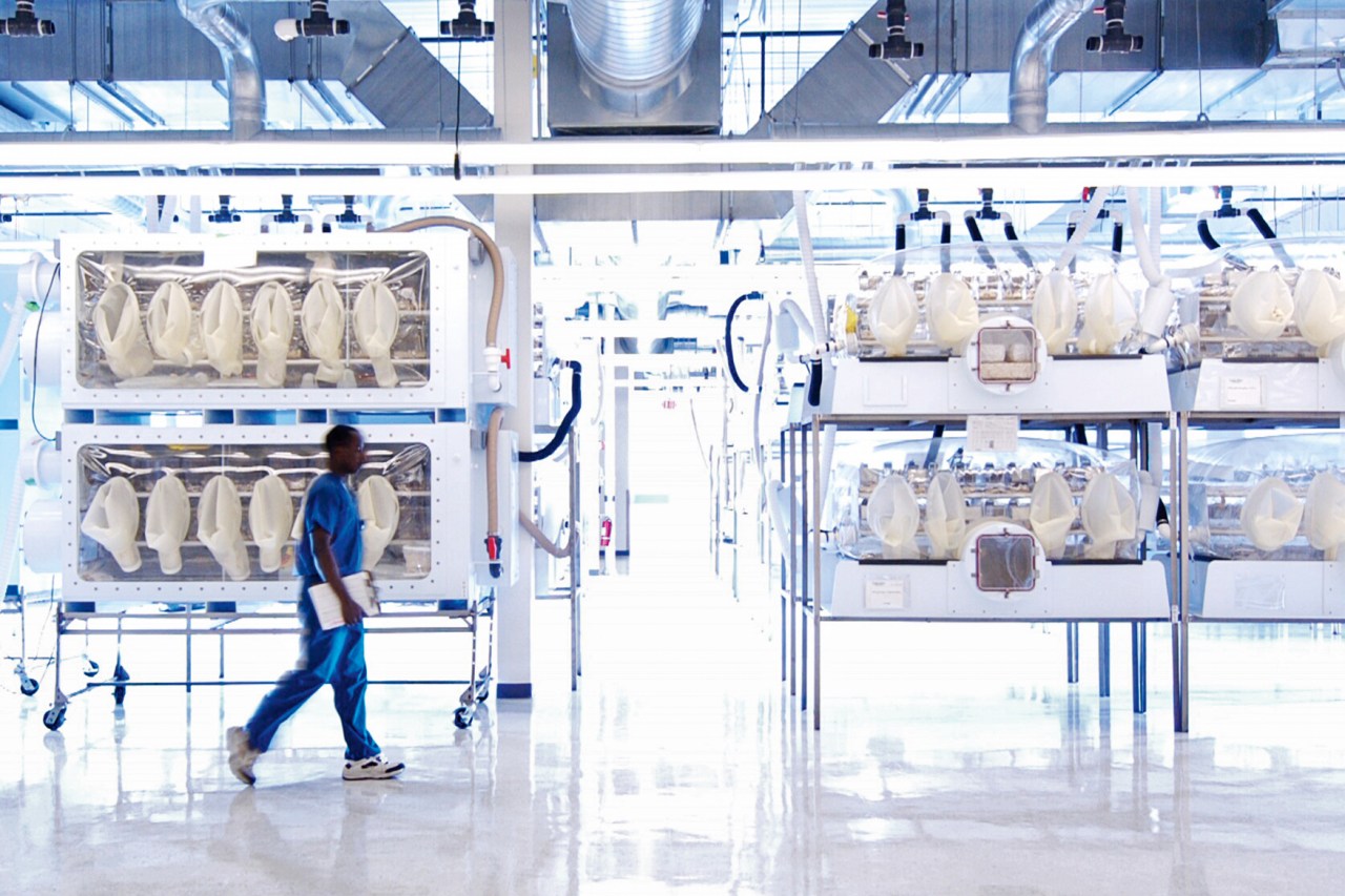 Big Pharma’s great lab monkey shortage: A crackdown on smuggling is ...